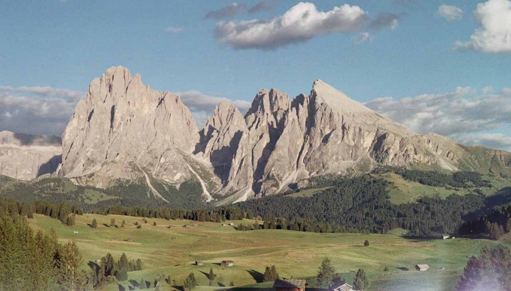 Exploring the Vast Wilderness: South Carolina Public Hunting Land